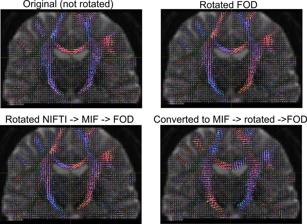 Gradient orientation after alignment of (NIFTI) DWI data to structural data - MRtrix3 Community