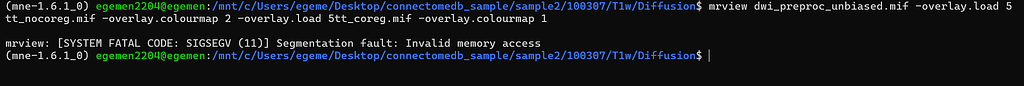 Mrview System Fatal Code Sigsegv 11 But Not Related To Opengl Mrtrix3 Community