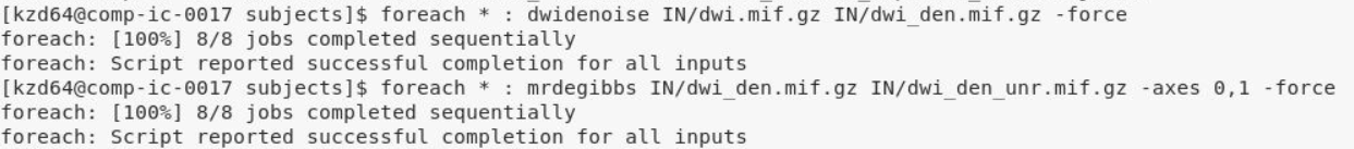 Dwifslpreproc and mrinfo errors - MRtrix3 Community